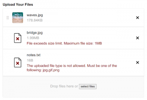 Gravity Forms File Upload Pro | Gravity Perks | Gravity Wiz