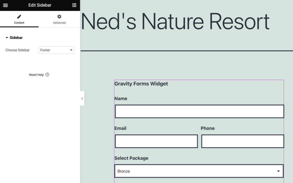 Gravity Forms in Elementor: A Complete Guide | Gravity Wiz