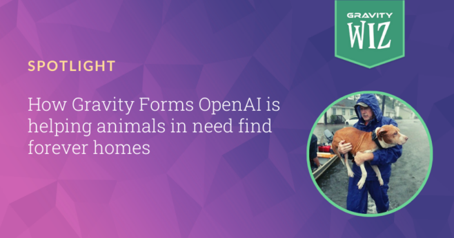 Spotlight: How GF OpenAI is Helping Animals Find Fur-ever Homes