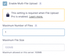 Gravity Forms File Upload Pro - Gravity Perks | Gravity Wiz